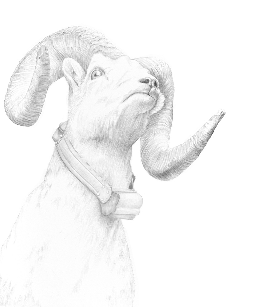 Drawings - Joseph Smolinski