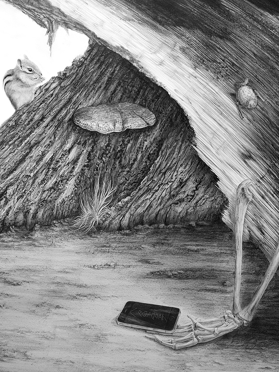 Drawings - Joseph Smolinski