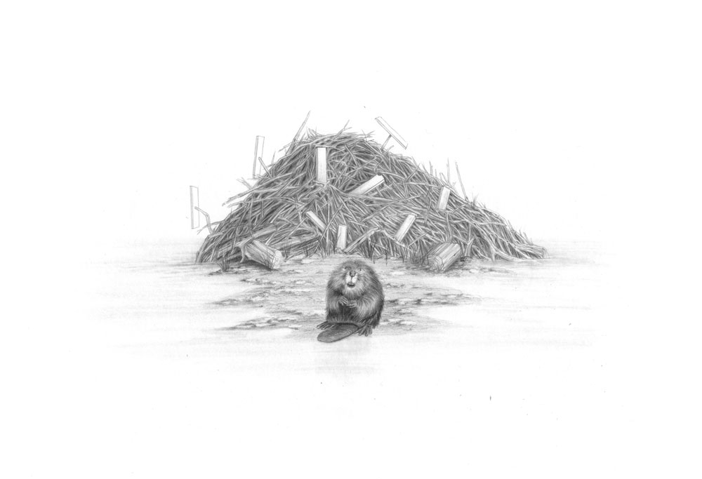 Drawings - Joseph Smolinski