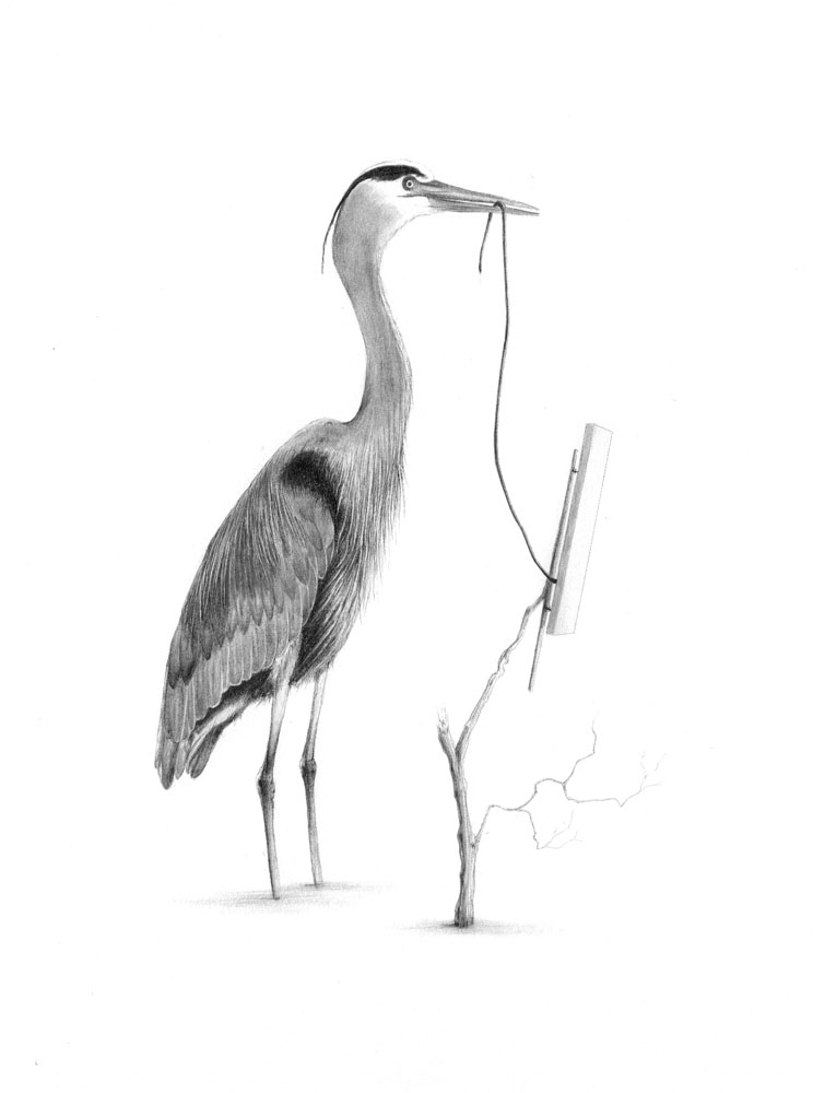 Drawings - Joseph Smolinski