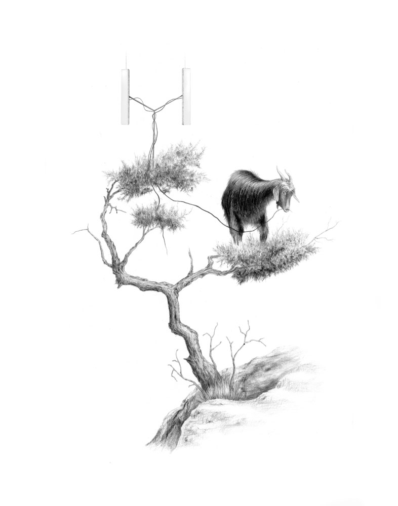 Drawings - Joseph Smolinski