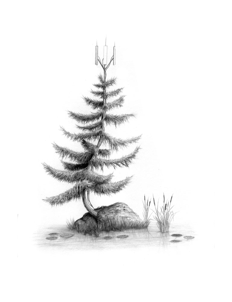 Drawings - Joseph Smolinski