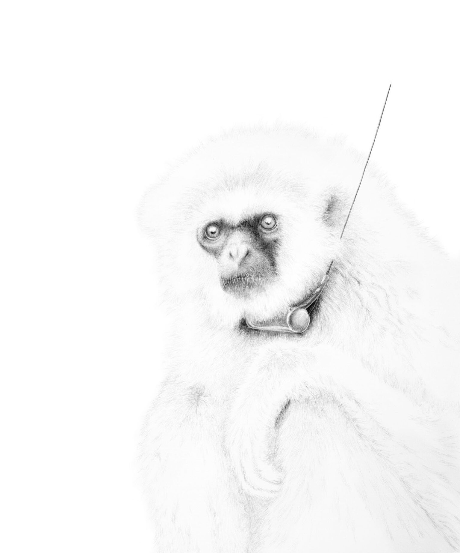 Drawings - Joseph Smolinski