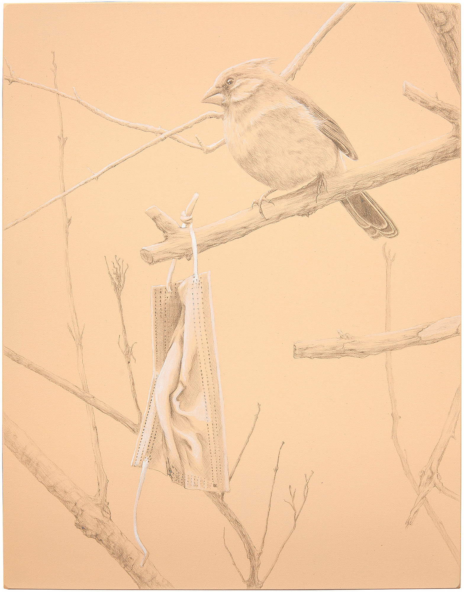 Drawings - Joseph Smolinski