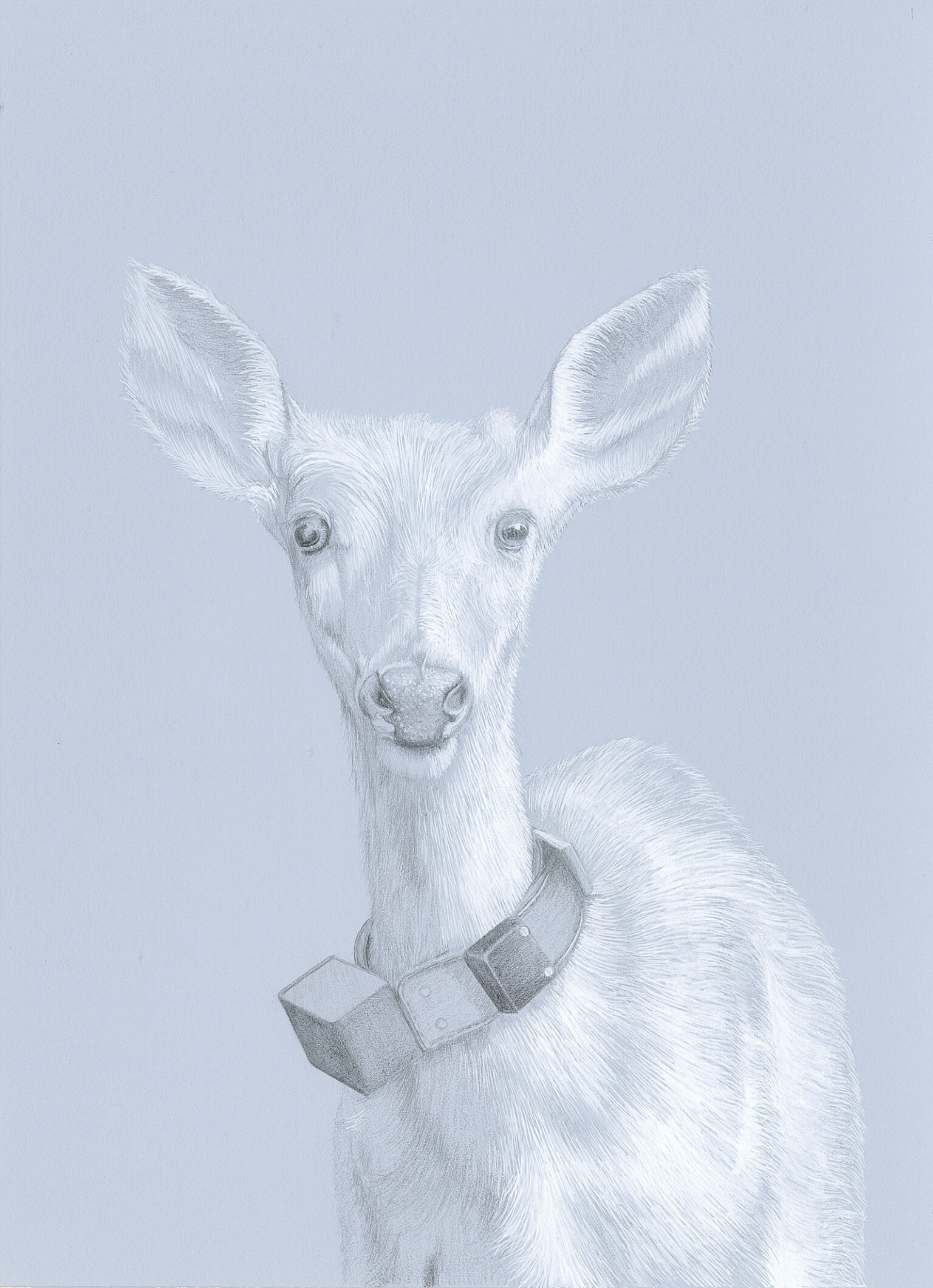 Drawings - Joseph Smolinski