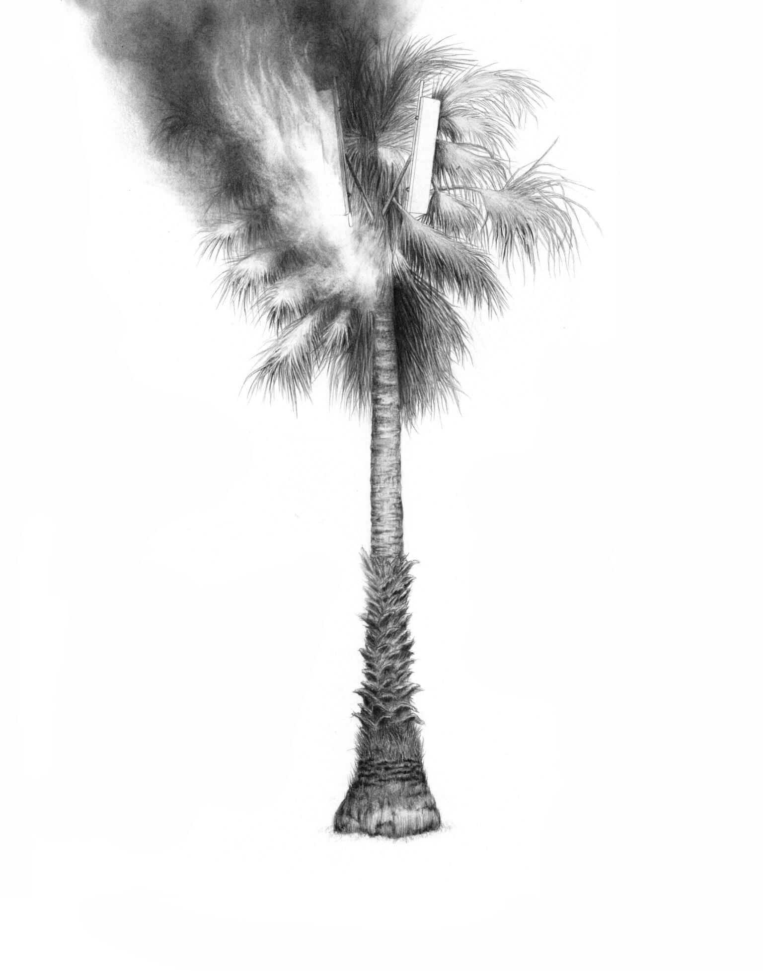 Drawings - Joseph Smolinski