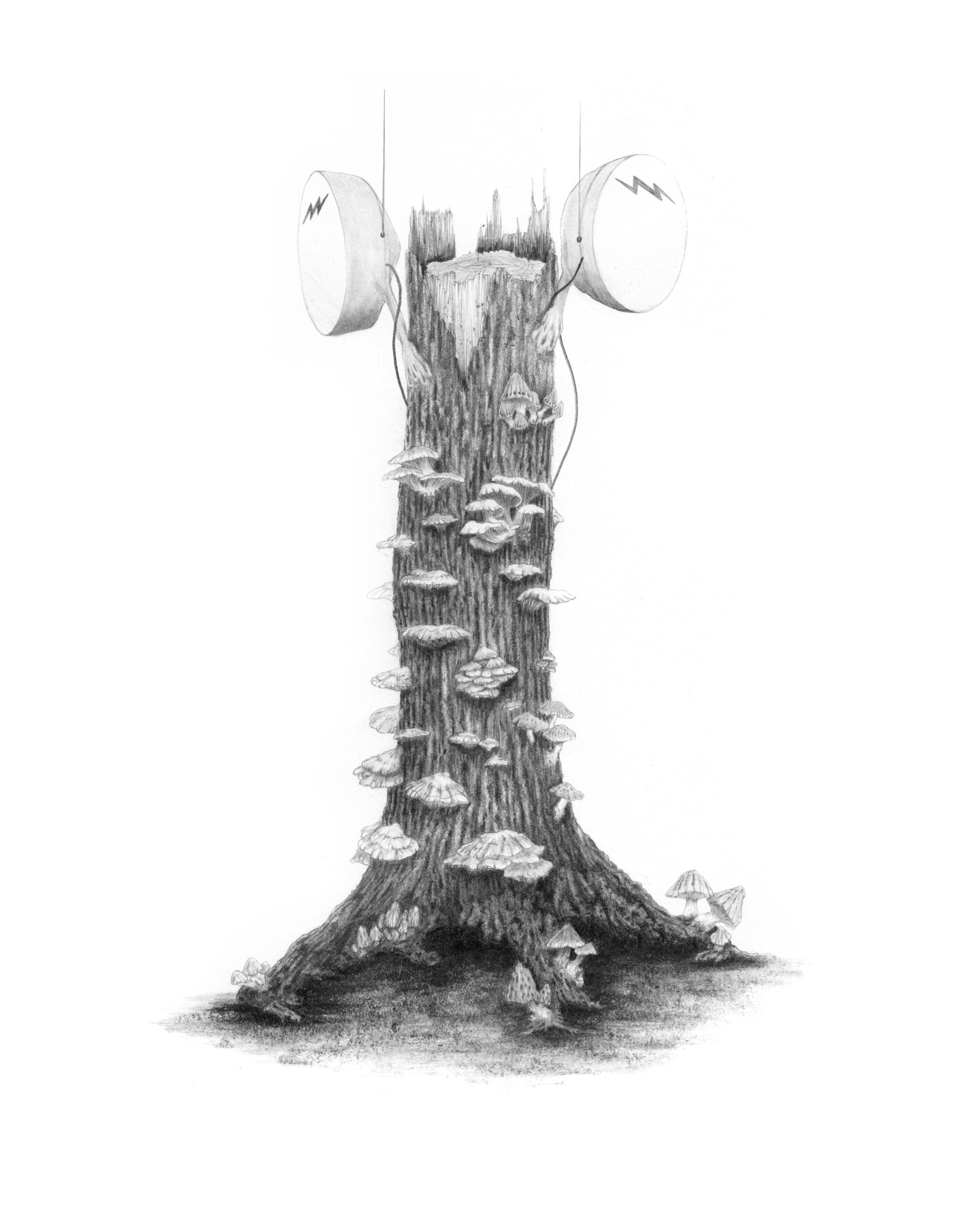 Drawings - Joseph Smolinski