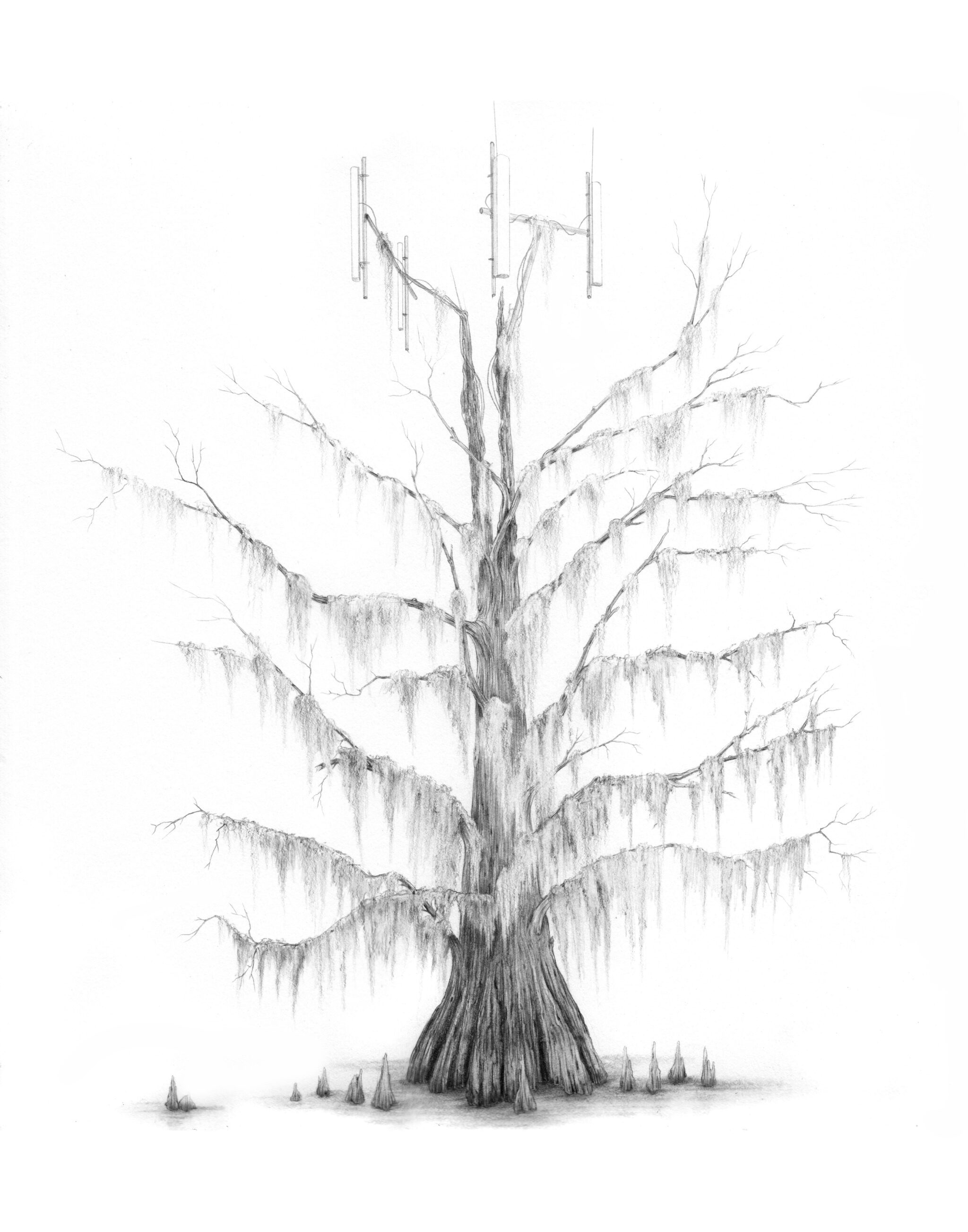 Drawings - Joseph Smolinski